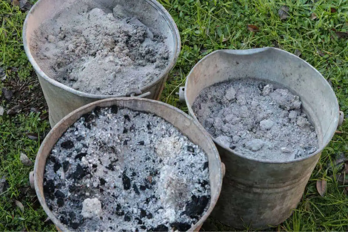 How to Safely Dispose of Fire Pit Ashes: Expert Guide