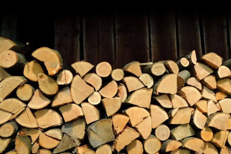 Green Firewood: What It Is and Why to Avoid It